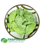 1️⃣ Địa Chỉ Bán Sỉ Cây Bạc Hà Tại TP.HCM ™- Dược Liệu THAPHACO